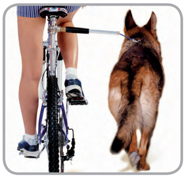 Hunde- & Katzenshop - Walky Dog